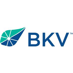 BKV IPO News - US natural gas producer BKV Corp files for a $100 million IPO | Renaissance Capital